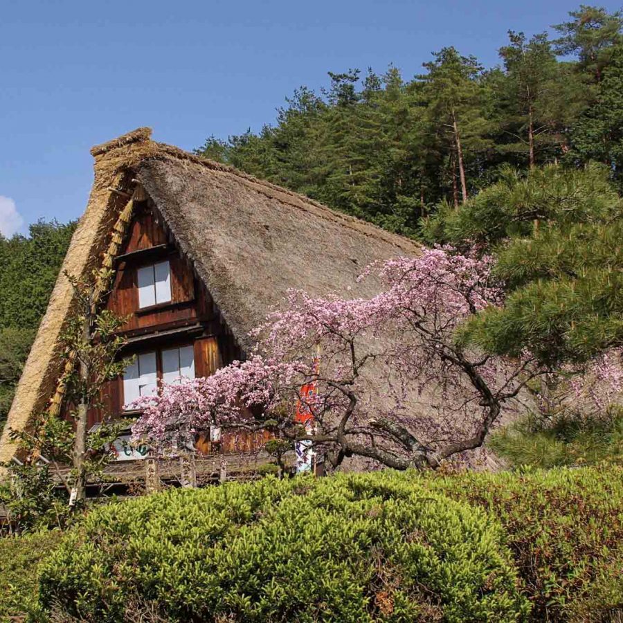 The 10 Best Tattoo-Friendly Onsen In Kyoto and Osaka [2025]