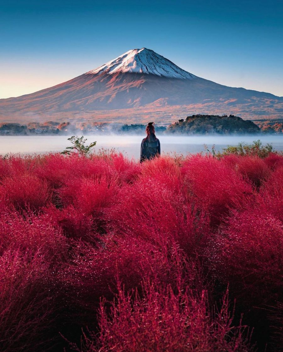 The 10 Best Japan Instagram Accounts You Should Follow In 2025