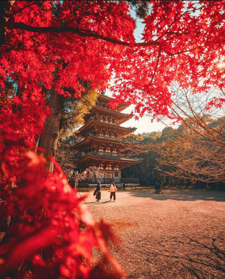 The 10 Best Japan Instagram Accounts You Should Follow In 2025