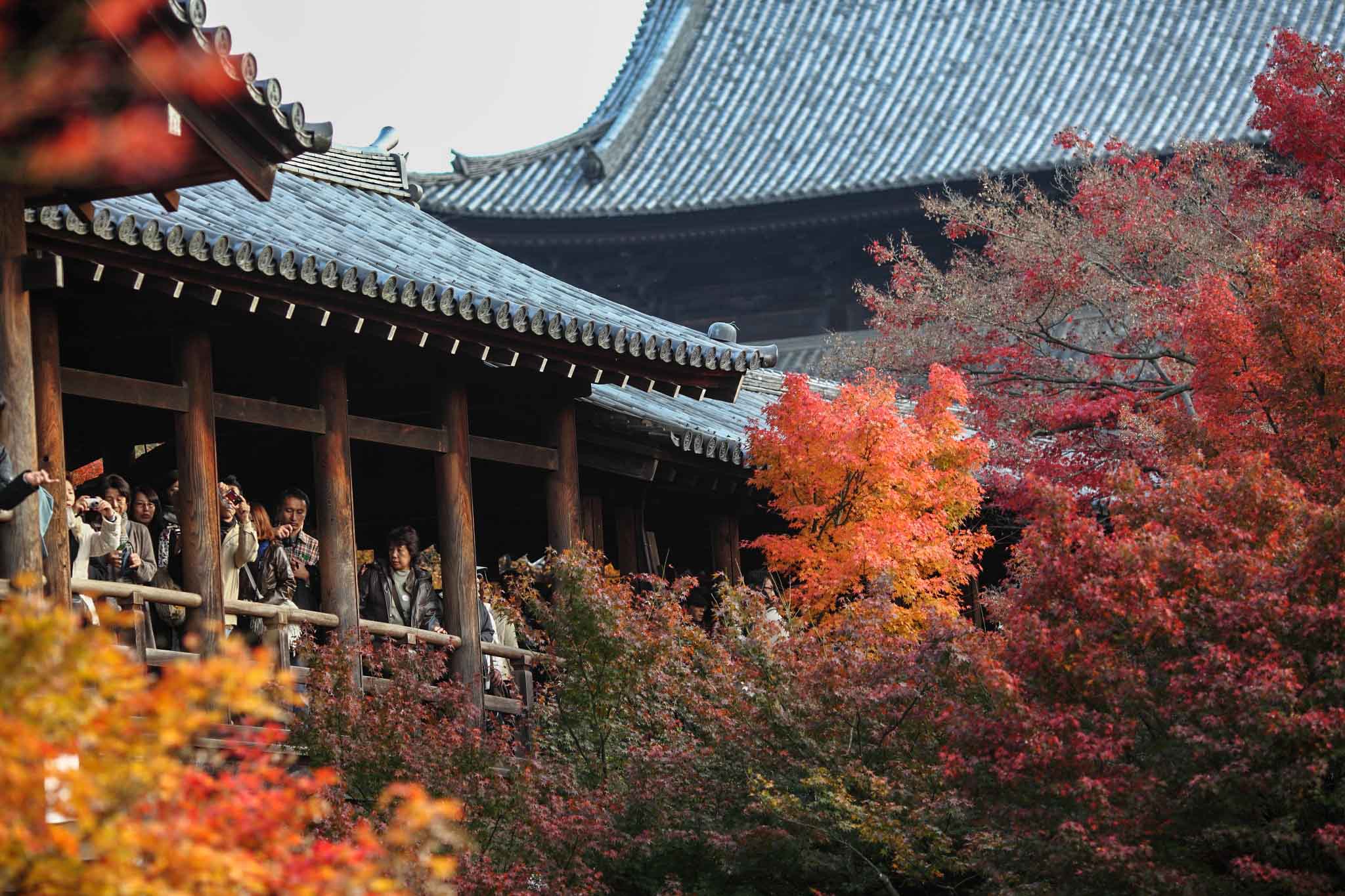 The 10 Best Autumn Leaves Spots In Kyoto You Should Visit