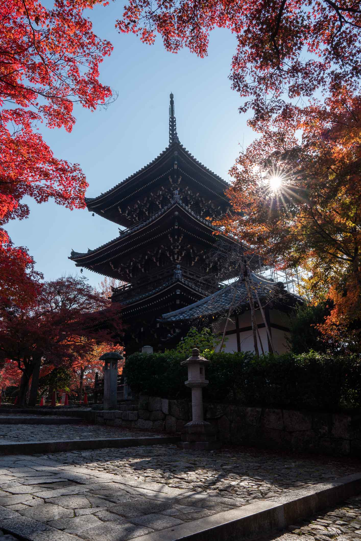 The 10 Best Autumn Leaves Spots In Kyoto You Should Definitely Visit!