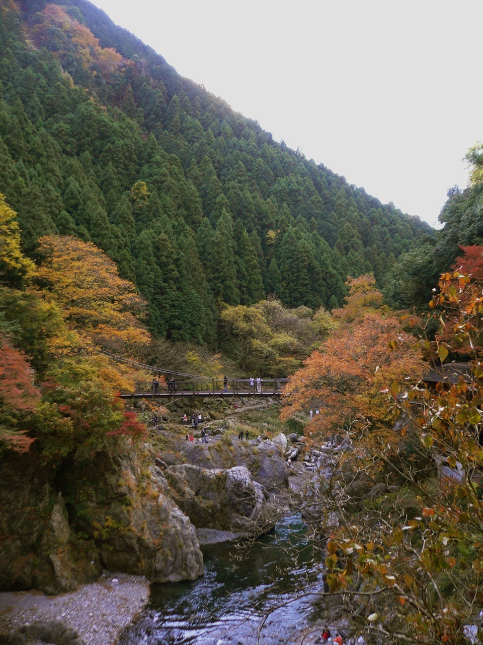 Okutama Japan - Discover This Amazing Natural Oasis Near Tokyo