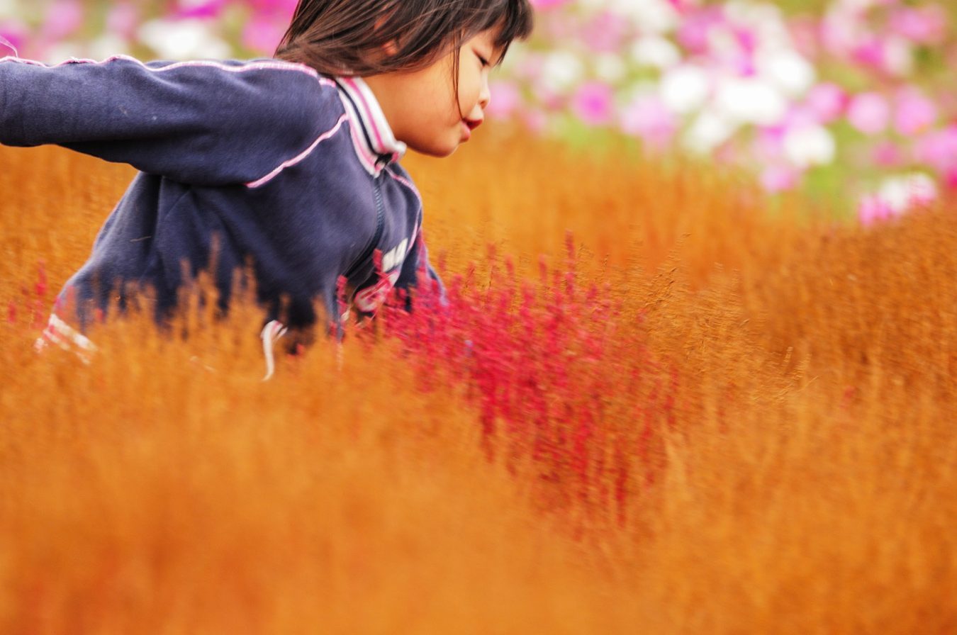 Hitachi Seaside Park - A Hidden Gem You Need To Visit In Ibaraki