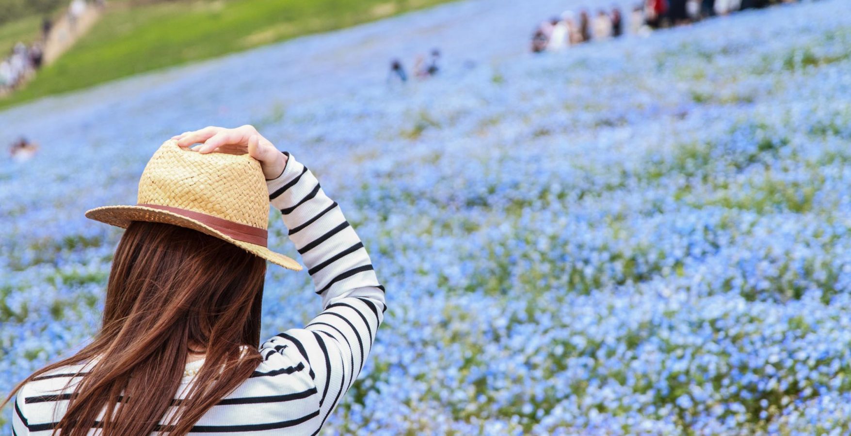Hitachi Seaside Park - A Hidden Gem You Need To Visit In Ibaraki