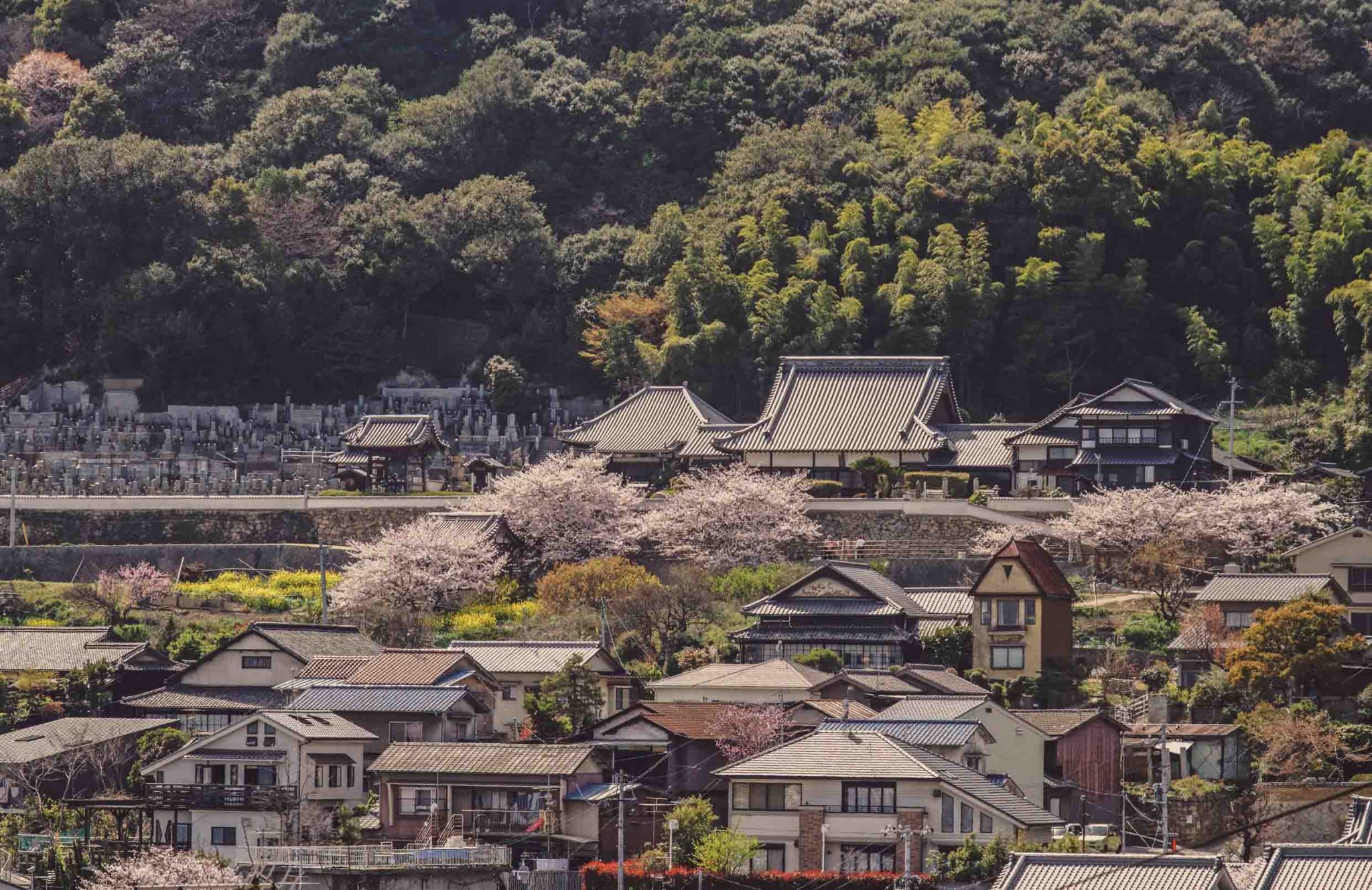 Tomonoura Japan - The Port That Inspired "Ponyo on the Cliff"