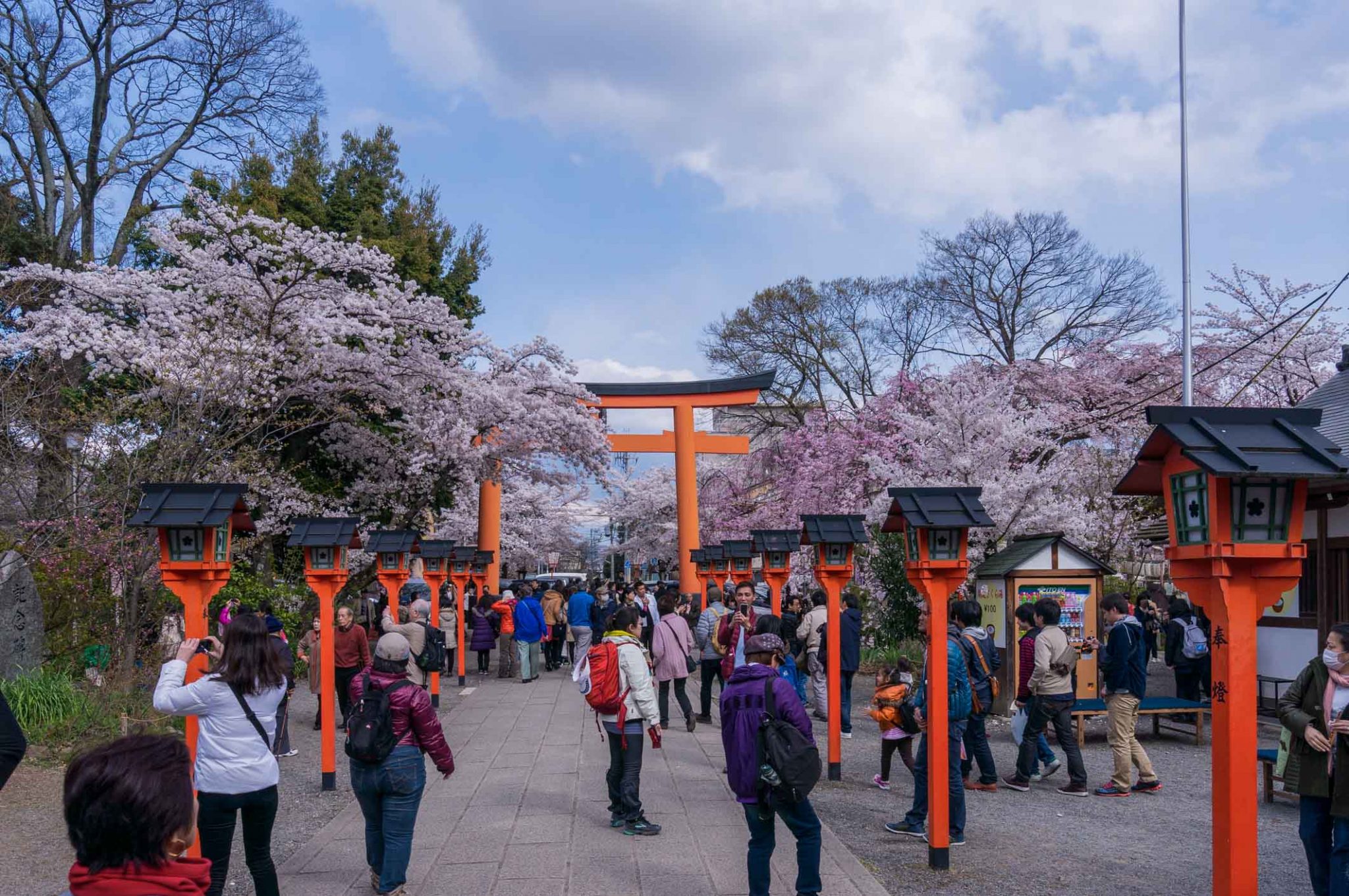 The 10 Most Beautiful Cherry Blossom (Sakura) Spots In Kyoto