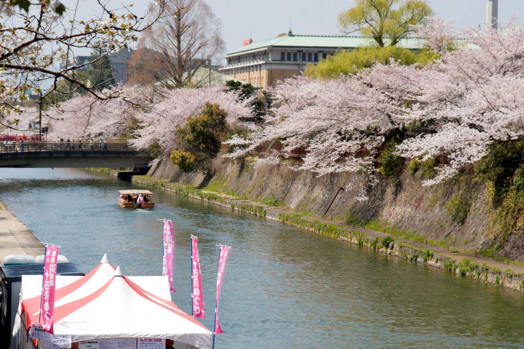 Sakura Kyoto - The 10 Most Beautiful Cherry Blossom Spots In Kyoto