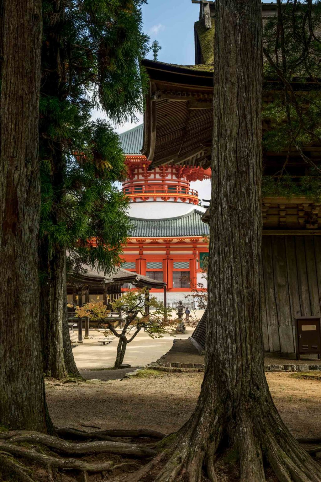 The 10 Best Day Trips From Osaka You Should Definitely Try!