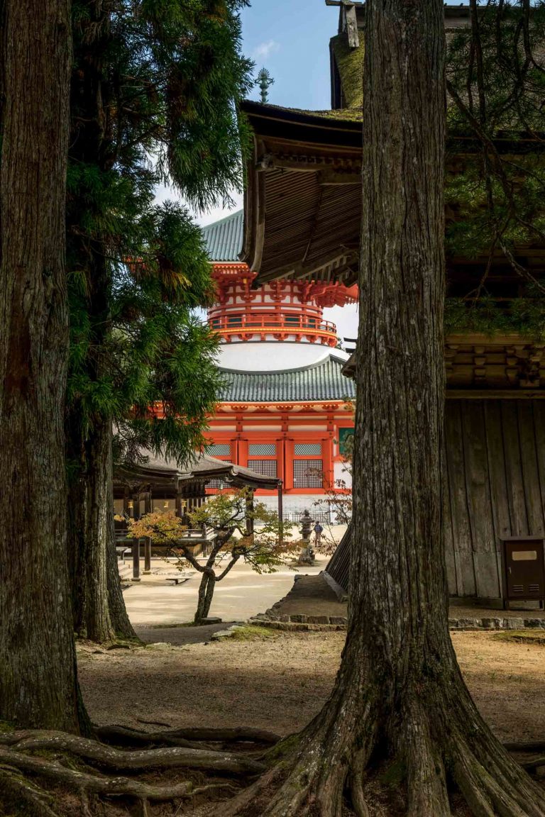 The 10 Best Day Trips From Osaka You Should Definitely Try!