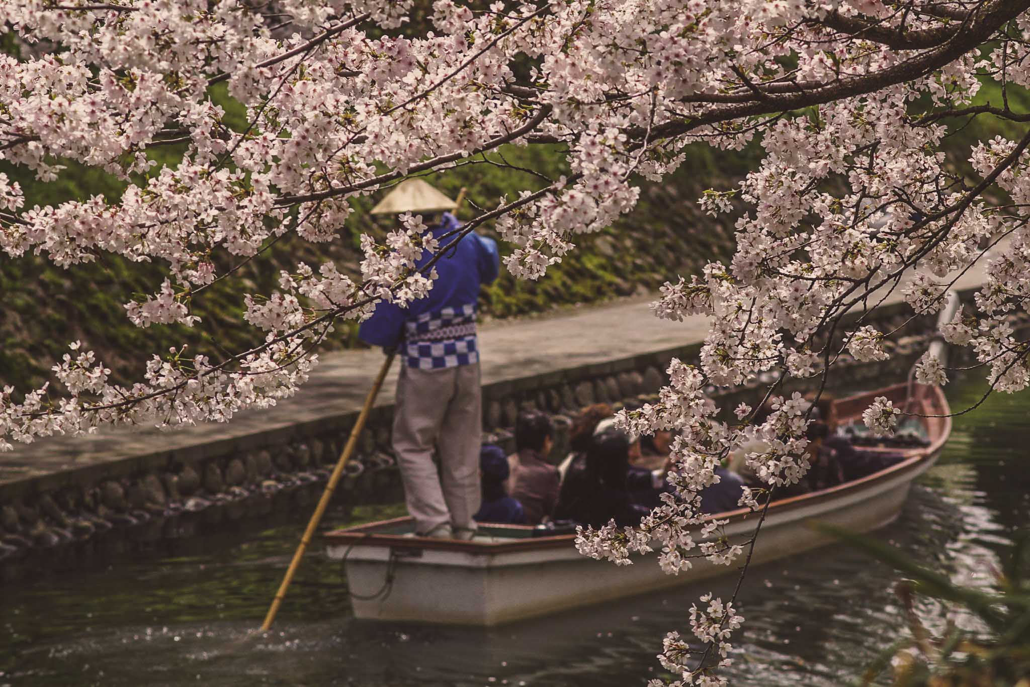 Toyama Japan - All Our Travel Tips To Visit This Beautiful Coastal City