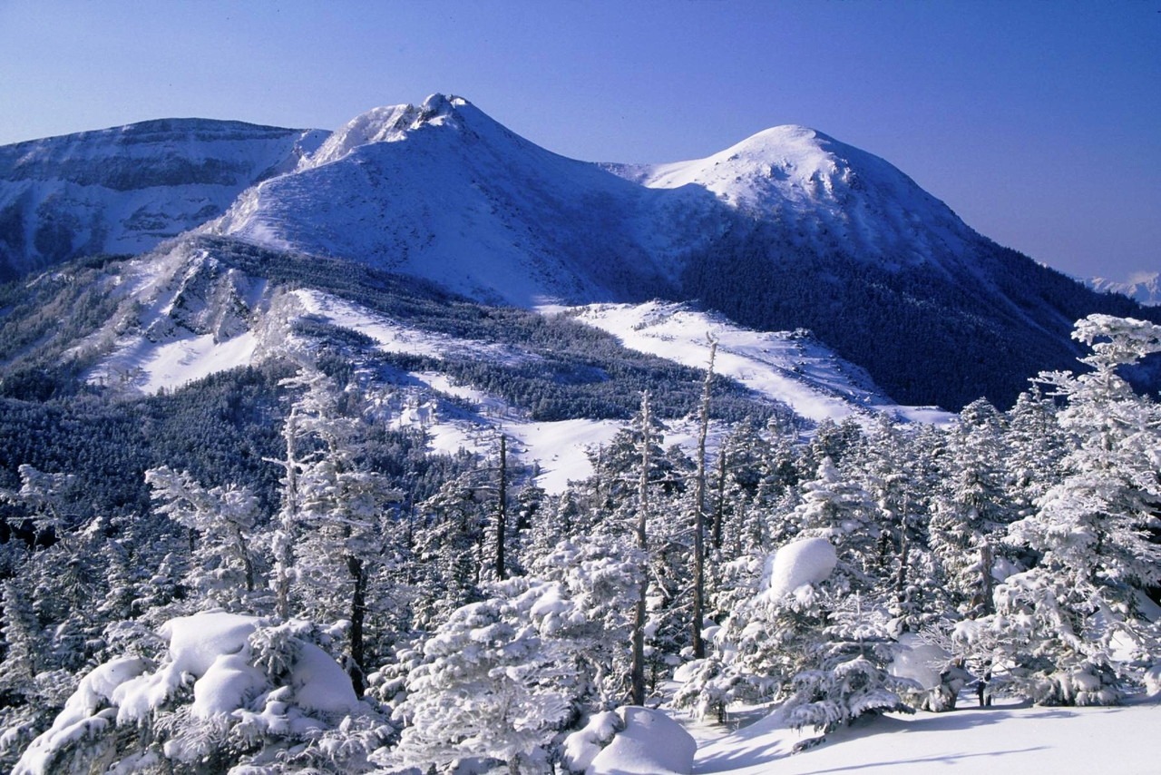 Otaru Japan - Discover This Beautiful Hidden Gem Near Sapporo