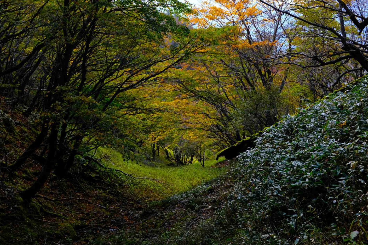 Iya Valley - Why You Should Travel To This Lovely Mountainous Area!