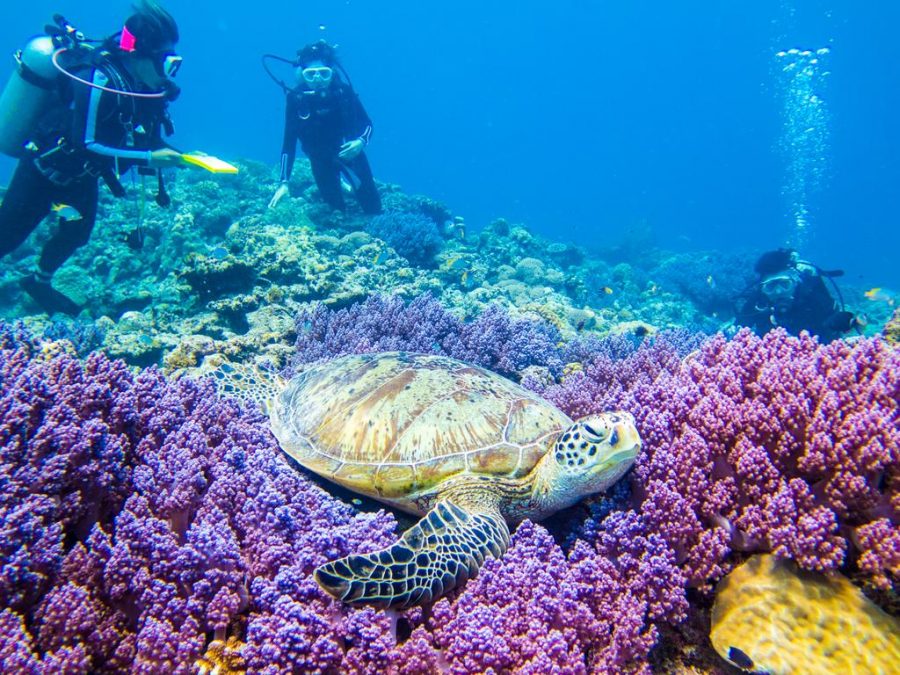 Tokashiki Island - Discover This Secret Paradise in Kerama Islands