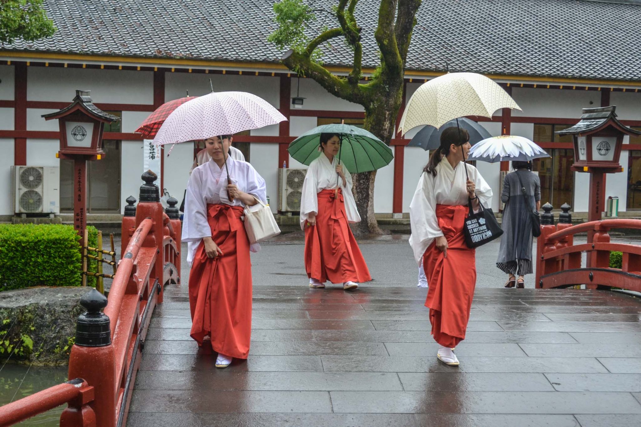 Discover Saga - Travel Tips To Visit This Unique Area In Japan