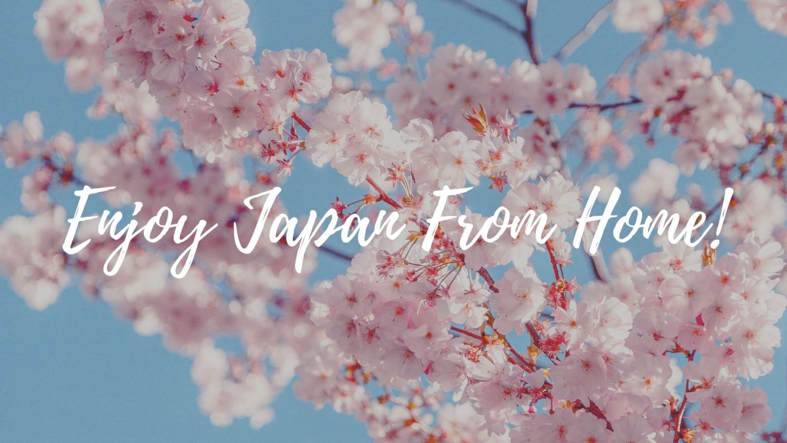 The 10 Best YouTubers To Discover Life In Japan