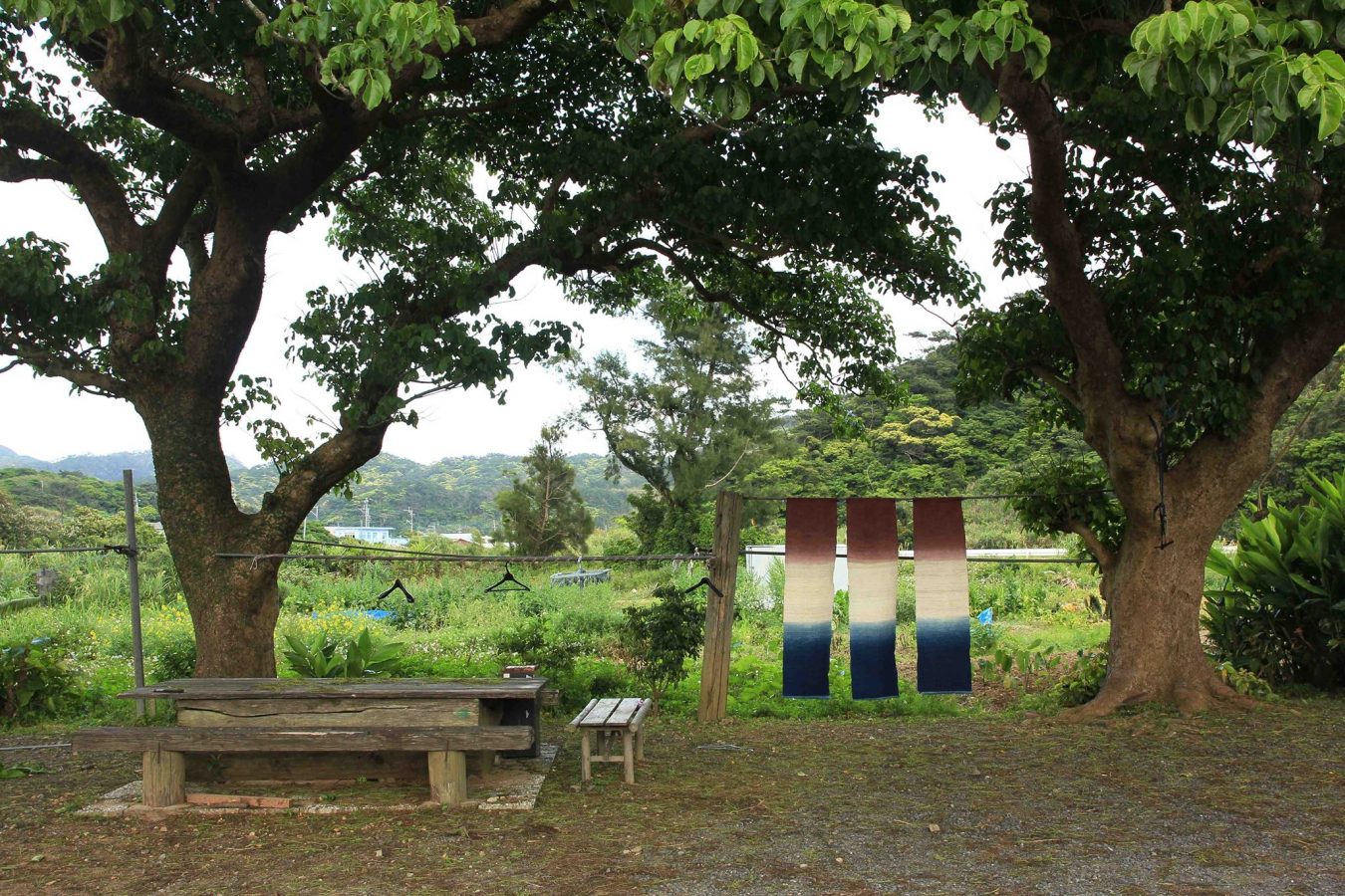 Amami Oshima - The Most Underrated Island In Japan!