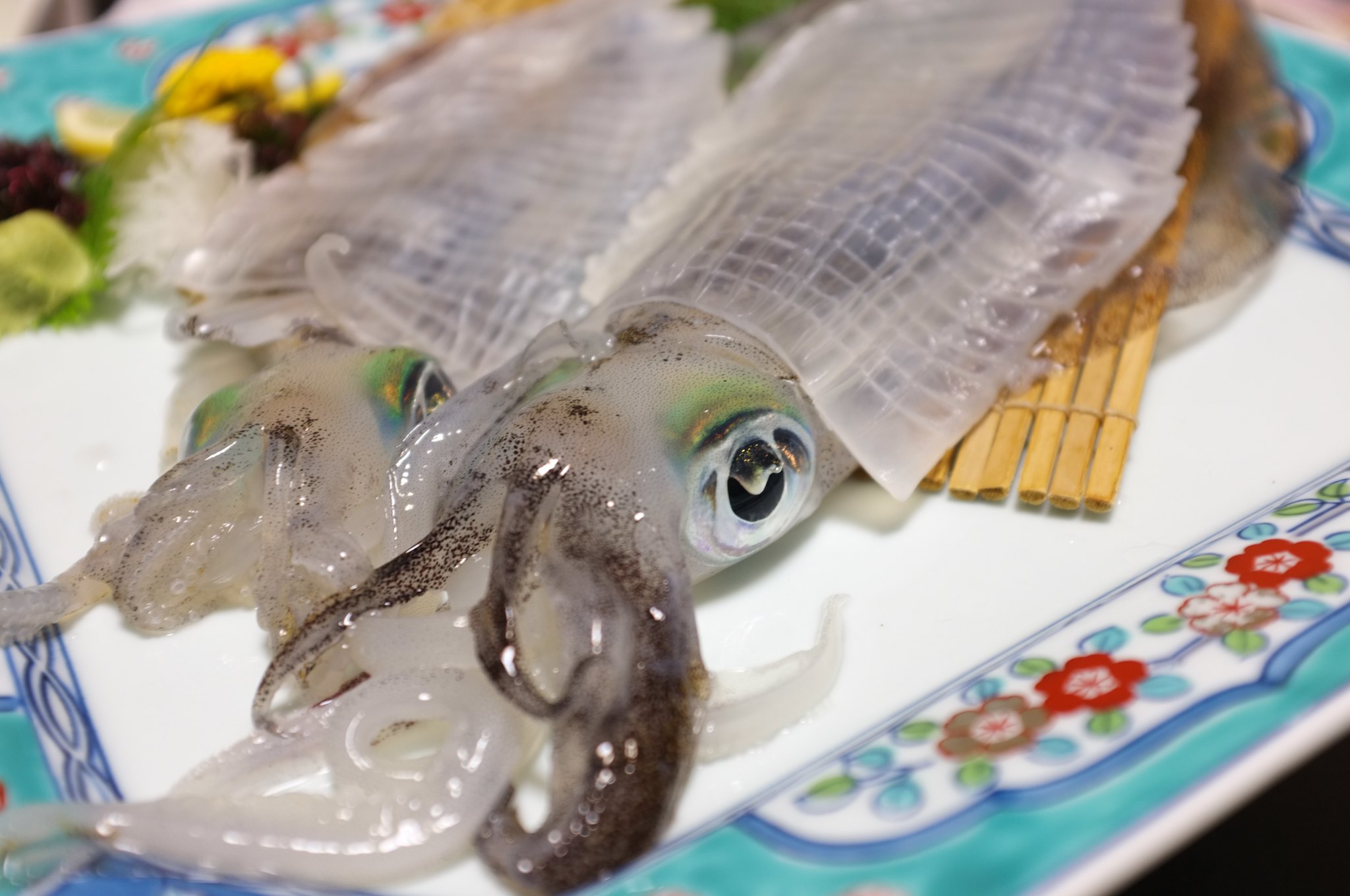 Karatsu Japan | Travel Tips to Explore this Lovely Area in Saga Prefecture