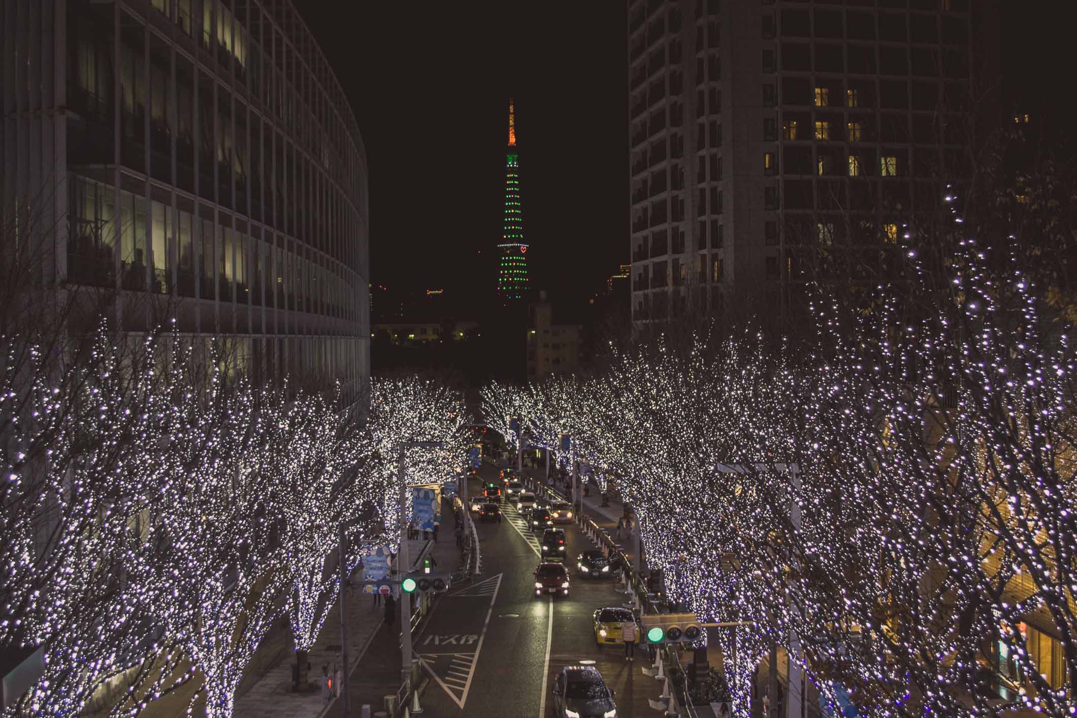 The 5 Best Winter Illuminations In Tokyo - 2022 / 2023
