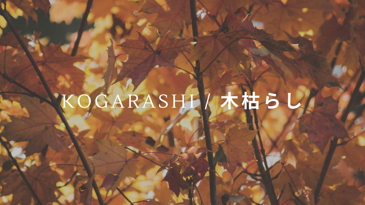 10 Beautiful & Meaningful Japanese Expressions You Should Know
