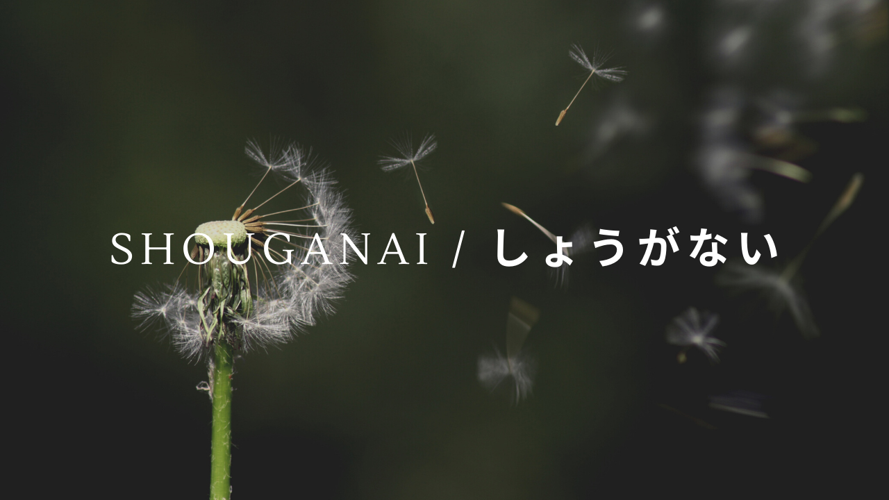 10 Beautiful & Meaningful Japanese Expressions You Should Know