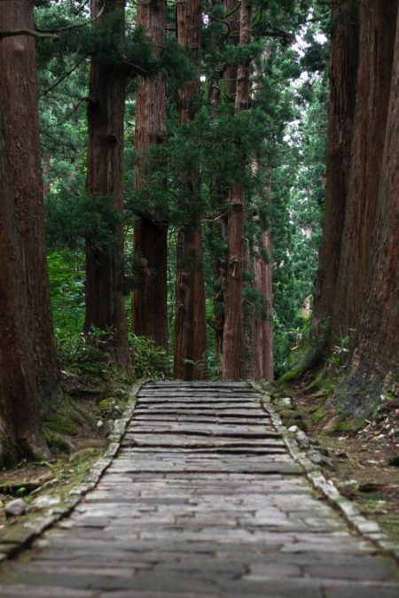 Hiking in Japan - The Best Trails, Things To Know & More Tips