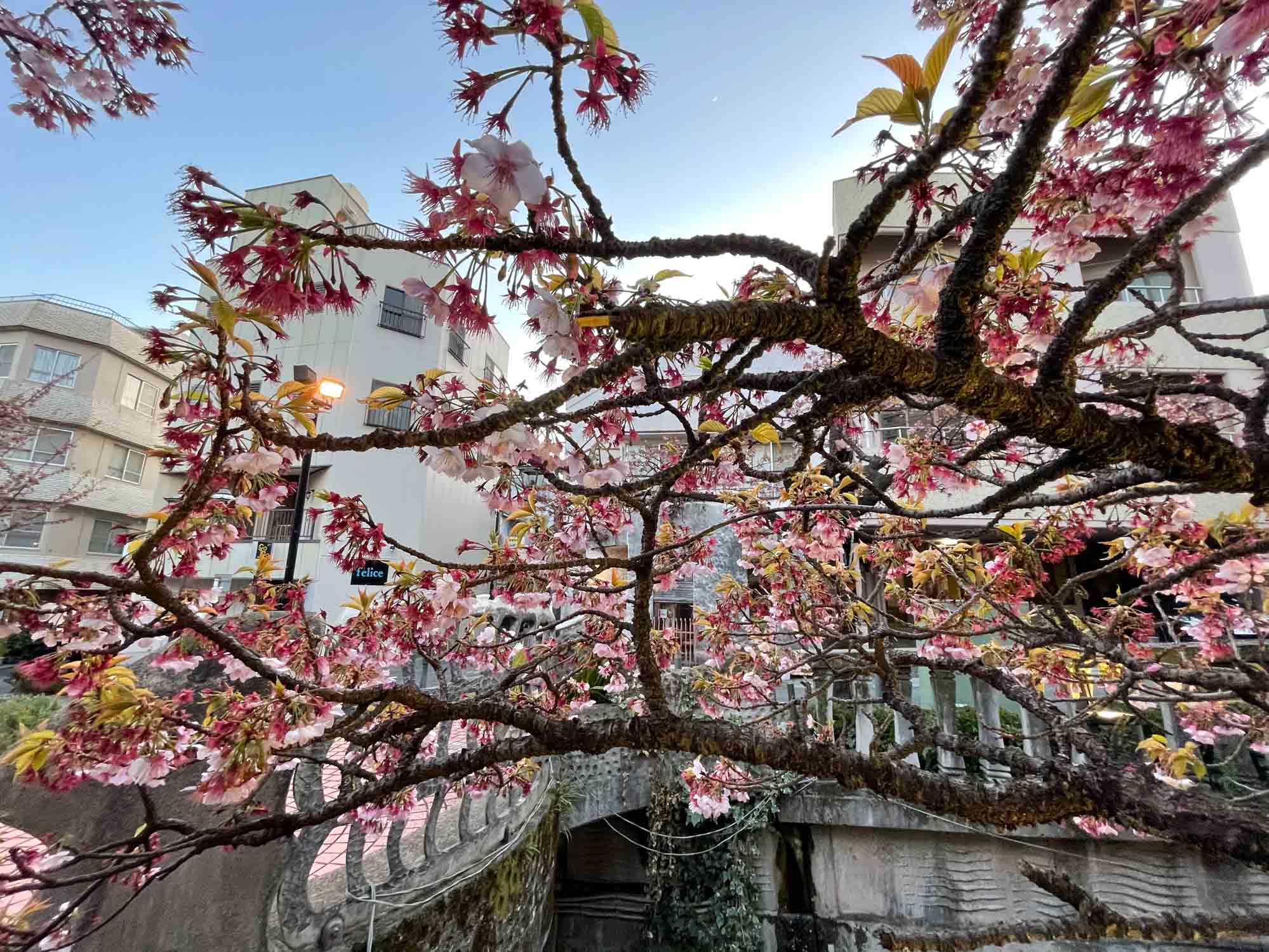 Atami Japan - Visit This Beautiful Seaside City In Shizuoka