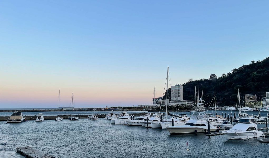 Kawazu Zakura - How To Enjoy Early Cherry Blossoms In Japan