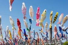 Koinobori - All You Need To Know About Japanese Carp Streamers