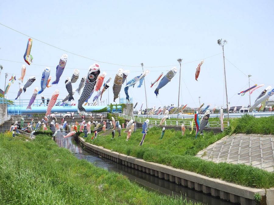 Koinobori - All You Need To Know About Japanese Carp Streamers