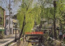 8 Unmissable Things To Do In Shimoda & More Travel Tips