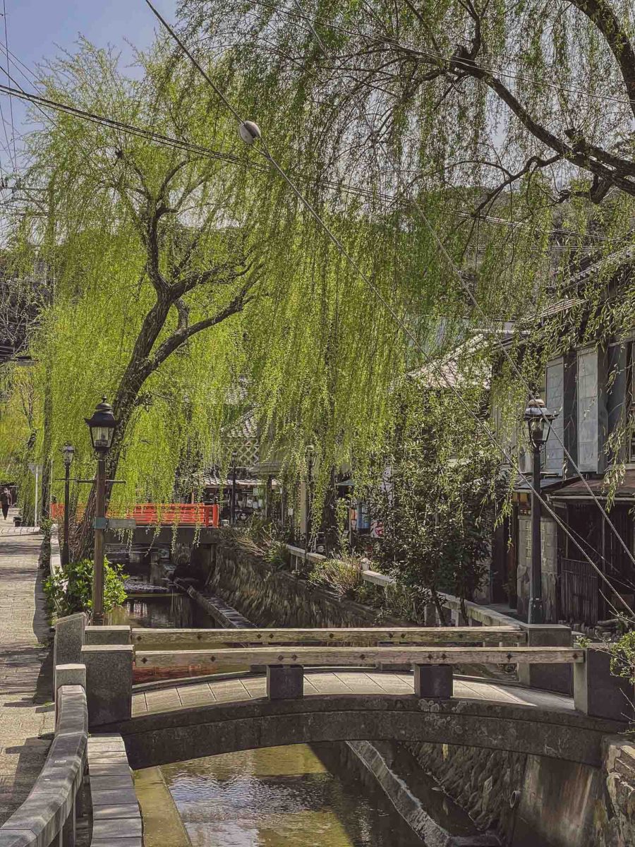 8 Unmissable Things To Do In Shimoda & More Travel Tips