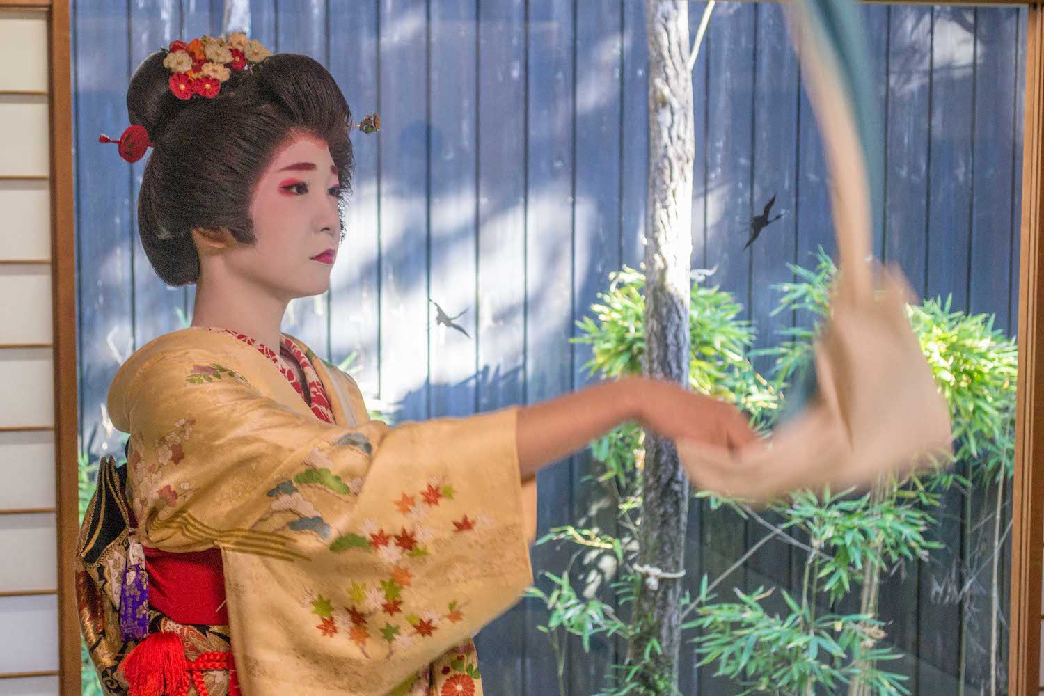Meeting The Furumachi Geigi, The Geishas From Niigata