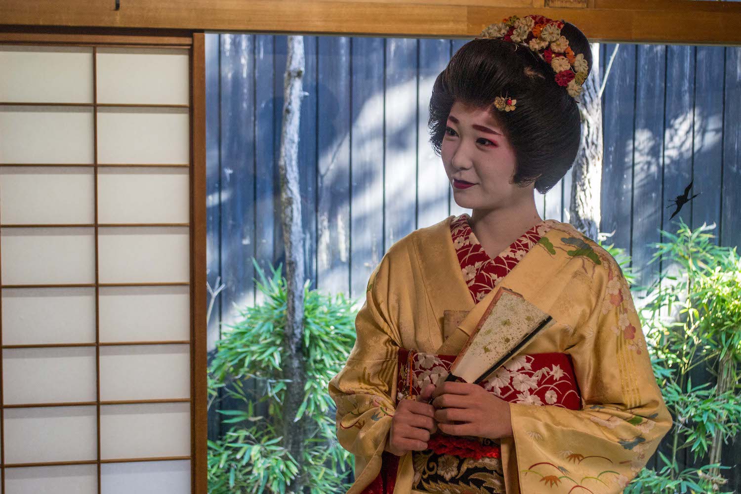 Meeting The Furumachi Geigi, The Geishas From Niigata