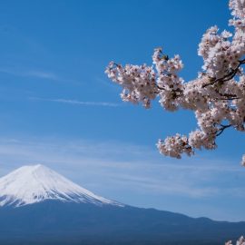 Sugoii Japan - Tokyo Based Blog Featuring The Best of Japan!