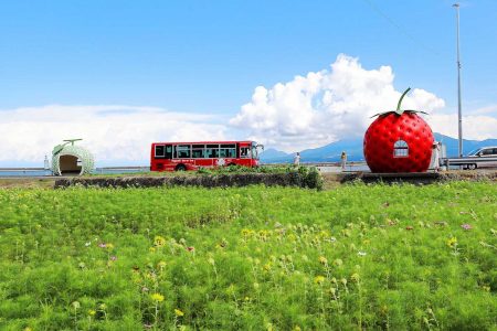 This City In Japan Has Cute Fruit-Shaped Bus Stops [PHOTOS]