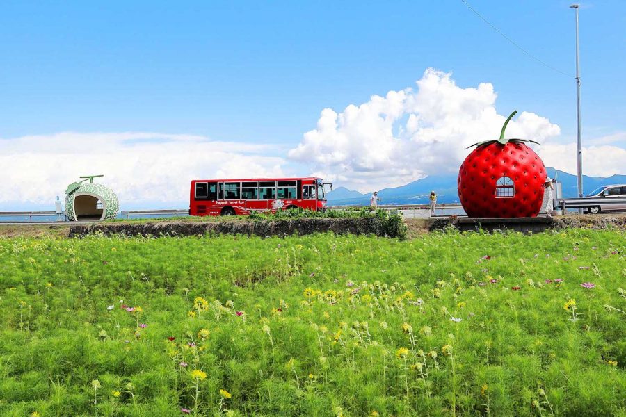 This City In Japan Has Cute Fruit-Shaped Bus Stops [PHOTOS]