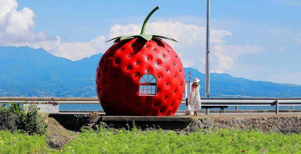 This City In Japan Has Cute Fruit-Shaped Bus Stops [PHOTOS]