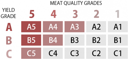 The Different Types Of Wagyu Beef - The Ultimate Guide