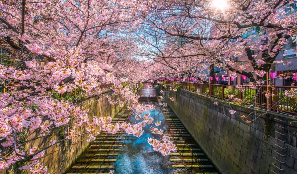 The 10 Best Anime Shops In Akihabara You Will Love