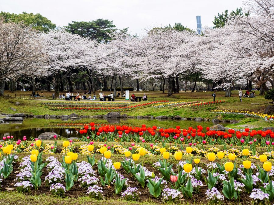 15 Awesome Things To Do In Beppu In 2025 | Travel Guide