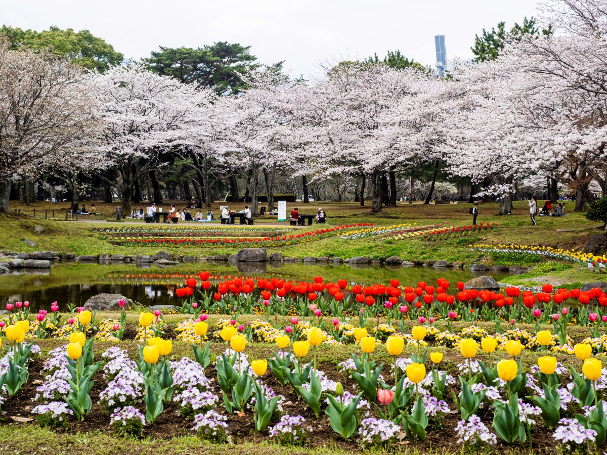 15 Awesome Things To Do In Beppu In 2025 | Travel Guide