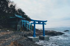 The 15 Most Beautiful Torii Gates In Japan You Have To Visit