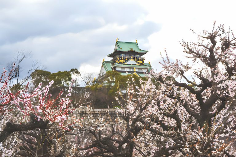 A Complete Guide To Enjoy Peach Blossom In Japan