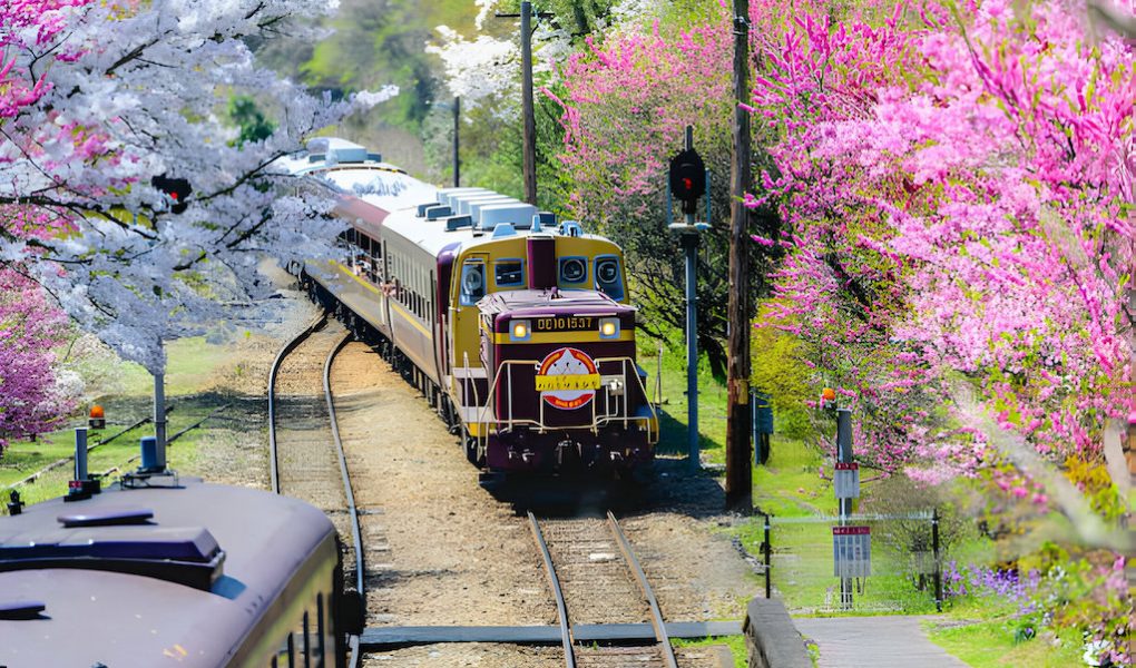 How To Use Shinkansen In Japan - Guide To Japan’s Bullet Train