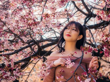 The 10 Most Beautiful Cherry Blossom (Sakura) Spots In Tokyo